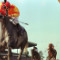 Horse appeal: Why gray thoroughbreds are great - CNN