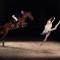 Demystifying dressage: Can ballet teach the world to love dancing ...
