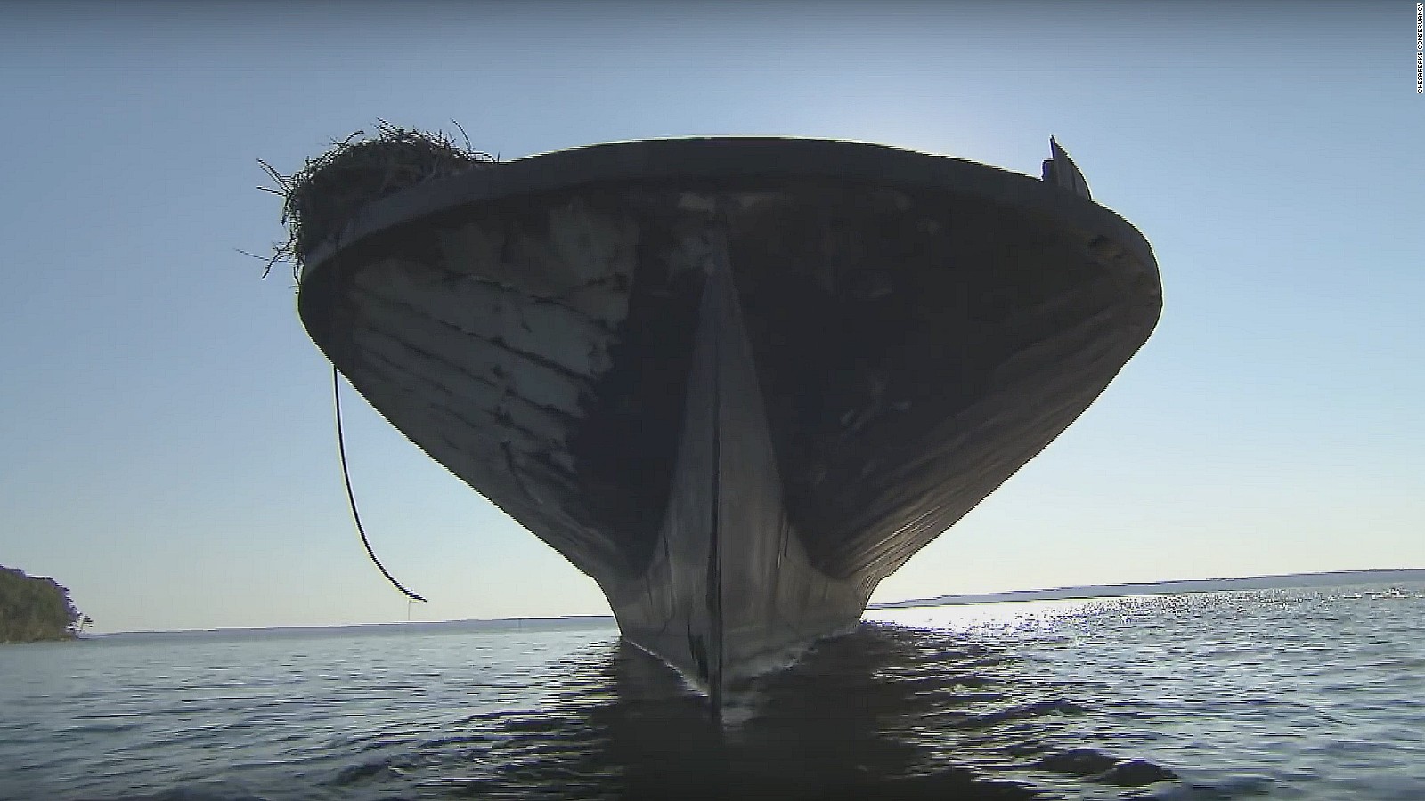 'Ghost fleet' graveyard reborn as nature sanctuary - CNN