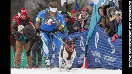 Cross country skiing + dog = skijoring, with love - CNN