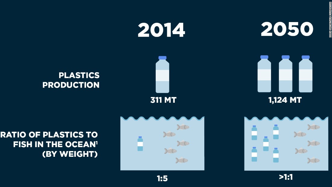 Can our oceans be saved from environmental ruin? - CNN