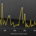 How to stop the sixth mass extinction - CNN
