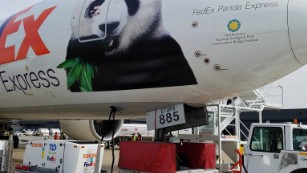How to fly a panda halfway across the world - CNN Video