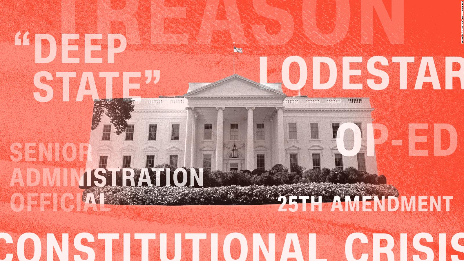 7 Terms You Need To Know To Understand The Anonymous Nyt Op Ed
