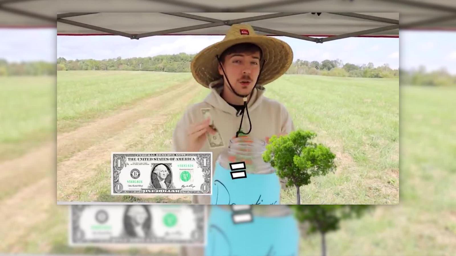 Estrella De Youtube Se Compromete A Plantar 20 000 000 De árboles Cnn