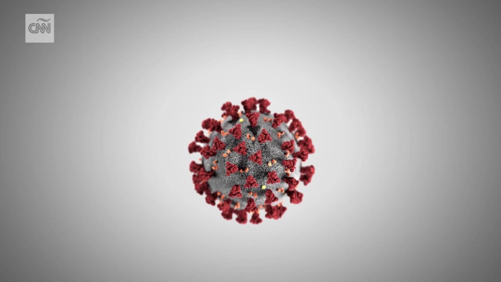 ¿Cuál es el periodo de incubación del coronavirus? - CNN Video ¿Cuál es el periodo de incubación del coronavirus? - CNN Video