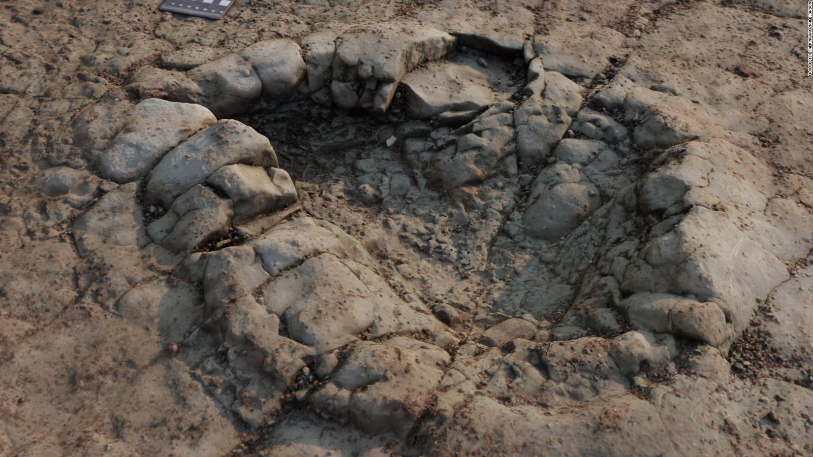 Dinosaur footprints dating back 200 million years discovered on Wales ... Dinosaur footprints dating back 200 million years discovered on Wales ...