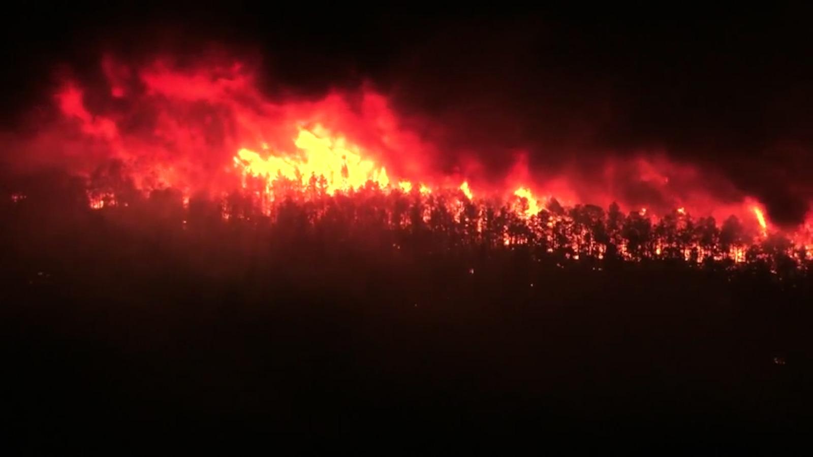 Incendio En Nueva Jersey Más De 1 000 Hectáreas Arrasadas Por Las
